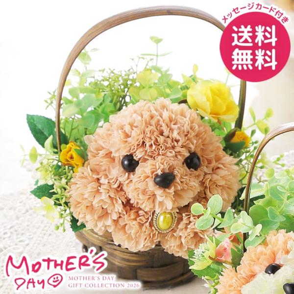 おしゃれでかわいい母の日ギフト・母の日プレゼント特集中！カーネーション バラ 薔薇 ばら ガーベラ 百合 ゆり チューリップ スイートピー ピンク レッド ホワイト ブルー イエロー 鉢植え 鉢植 花鉢 鉢花 和菓子 洋菓子 カステラ かす...