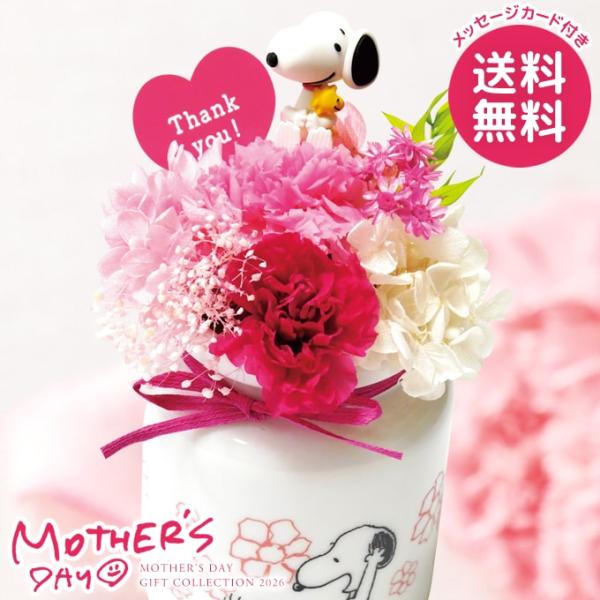 おしゃれでかわいい母の日ギフト・母の日プレゼント特集中！カーネーション バラ 薔薇 ばら ガーベラ 百合 ゆり チューリップ スイートピー ピンク レッド ホワイト ブルー イエロー 鉢植え 鉢植 花鉢 鉢花 和菓子 洋菓子 カステラ かす...