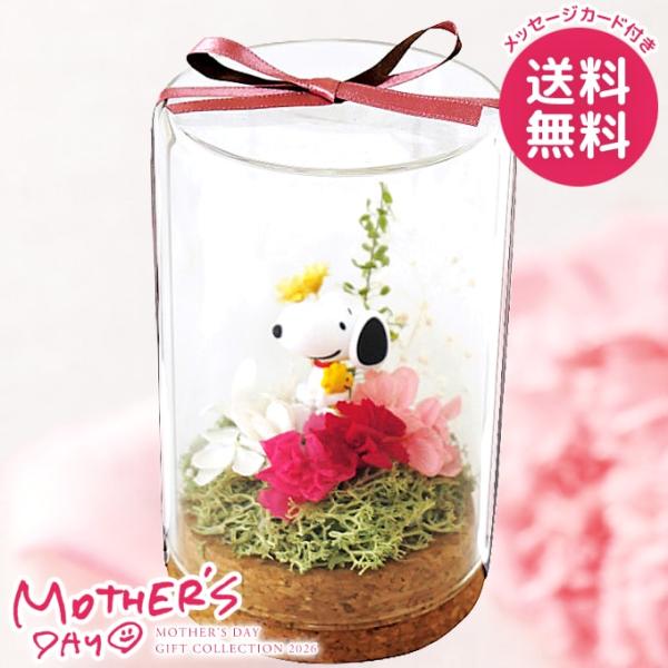 おしゃれでかわいい母の日ギフト・母の日プレゼント特集中！カーネーション バラ 薔薇 ばら ガーベラ 百合 ゆり チューリップ スイートピー ピンク レッド ホワイト ブルー イエロー 鉢植え 鉢植 花鉢 鉢花 和菓子 洋菓子 カステラ かす...