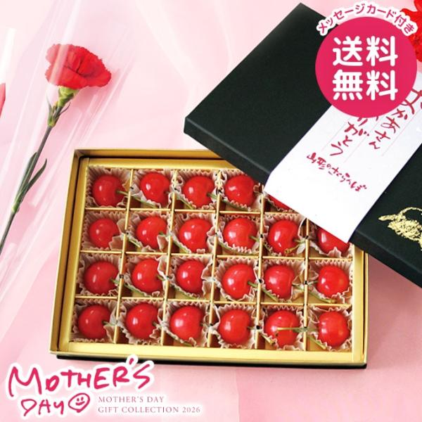 おしゃれでかわいい母の日ギフト・母の日プレゼント特集中！カーネーション バラ 薔薇 ばら ガーベラ 百合 ゆり チューリップ スイートピー ピンク レッド ホワイト ブルー イエロー 鉢植え 鉢植 花鉢 鉢花 和菓子 洋菓子 カステラ かす...