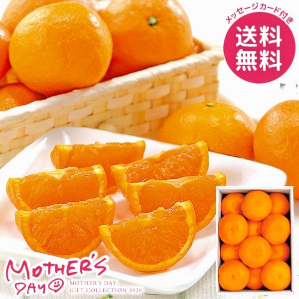 おしゃれでかわいい母の日ギフト・母の日プレゼント特集中！カーネーション バラ 薔薇 ばら ガーベラ 百合 ゆり チューリップ スイートピー ピンク レッド ホワイト ブルー イエロー 鉢植え 鉢植 花鉢 鉢花 和菓子 洋菓子 カステラ かす...