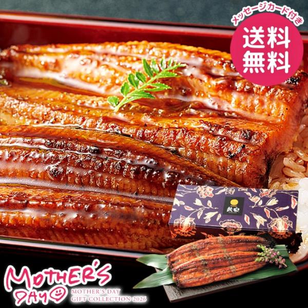 おしゃれでかわいい母の日ギフト・母の日プレゼント特集中！カーネーション バラ 薔薇 ばら ガーベラ 百合 ゆり チューリップ スイートピー ピンク レッド ホワイト ブルー イエロー 鉢植え 鉢植 花鉢 鉢花 和菓子 洋菓子 カステラ かす...