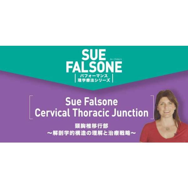 ■解説：Sue-Falsone　スー・ファルソニ（Structure &amp; Function 代表／理学療法士／ATC／CSCS）■翻訳：嶋田 あゆみ（Kinetikos）