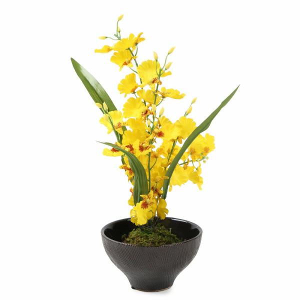 生花と見違えるようなクオリティーの高い高級な造花を使用した『花雅シリーズ』 見ているだけで何だかホッとする定番の苔玉デザイン。 枯れたりし萎れたりしないので、日々のお手入れや水替えの心配もなく、花粉や香りが無いので、アレルギーの方も安心です...