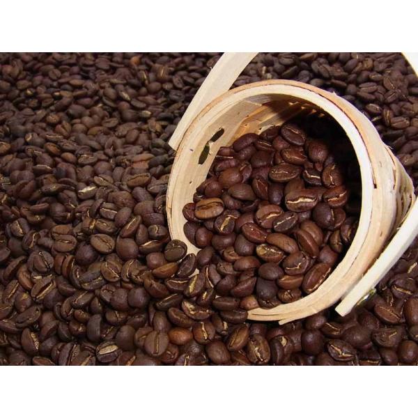 【全国送料無料】程よい酸味がうれしいコーヒー豆自家焙煎　キリマンジャロ　４００gアフリカ最高峰のキリマンジャロは、万年雪をいただく、アフリカ最高峰の山。その山の麓で取れた最高級ＡＡランクのコーヒーです。ウォッシュド・アラビカコーヒー最高級の...