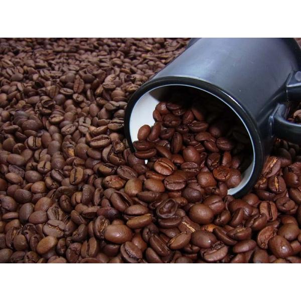 【全国送料無料】※メール便での発送の為、代引き・同梱・日時指定は出来ません※【全国送料無料】存在感のあるコクが特徴のコーヒー豆　★自家焙煎　ブラジルNO２　４００g世界最大のコーヒー生産国、南米ブラジル。太陽の恵みを最大に使う“天日乾燥方式...