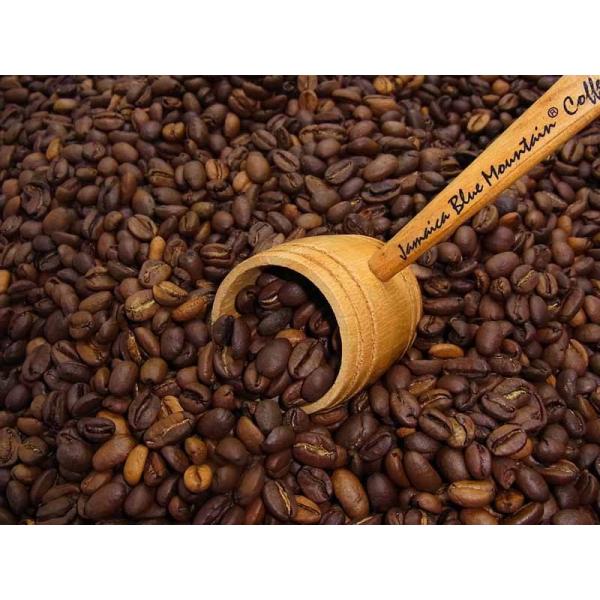 【送料無料（一部地域除く）】（自家焙煎、深煎り焙煎、石焼焙煎、炭焼焙煎、生豆、白煎り豆種類は問いません。）自家焙煎　モカシダモ　２ｋgエチオピア・アビシニア高原産。独特の甘い香りと、柔らかな酸味が特徴。エチオピアには、人工の手を加えないコー...