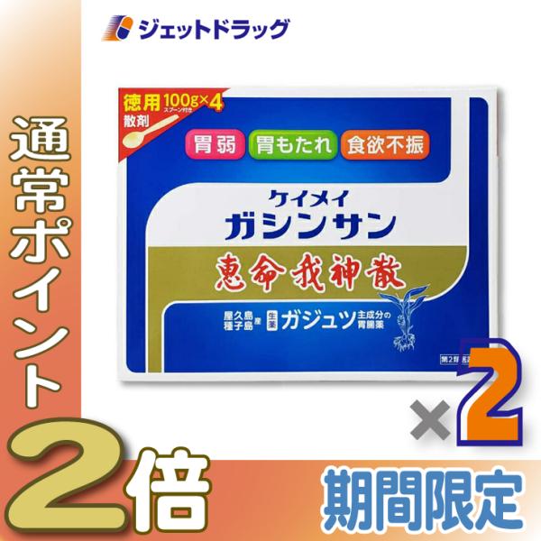 【第2類医薬品】恵命我神散 100g 4袋入 ×2個 (058012)