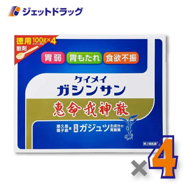 【第2類医薬品】恵命我神散 100g 4袋入 ×4個 (058012)
