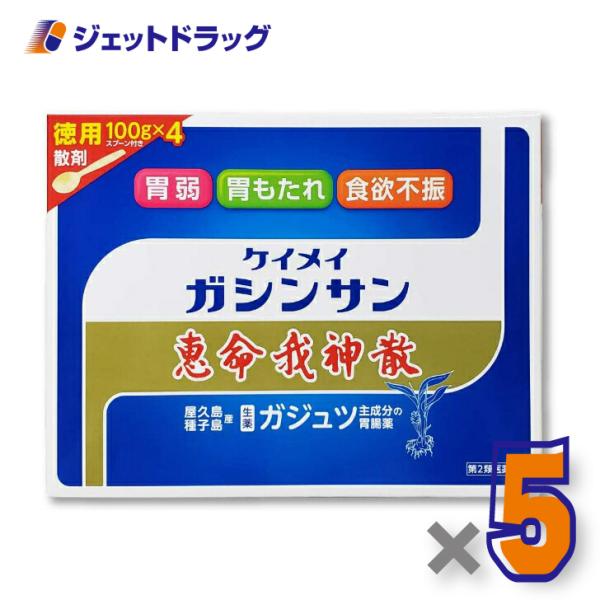 【第2類医薬品】恵命我神散 100g 4袋入 ×5個 (058012)