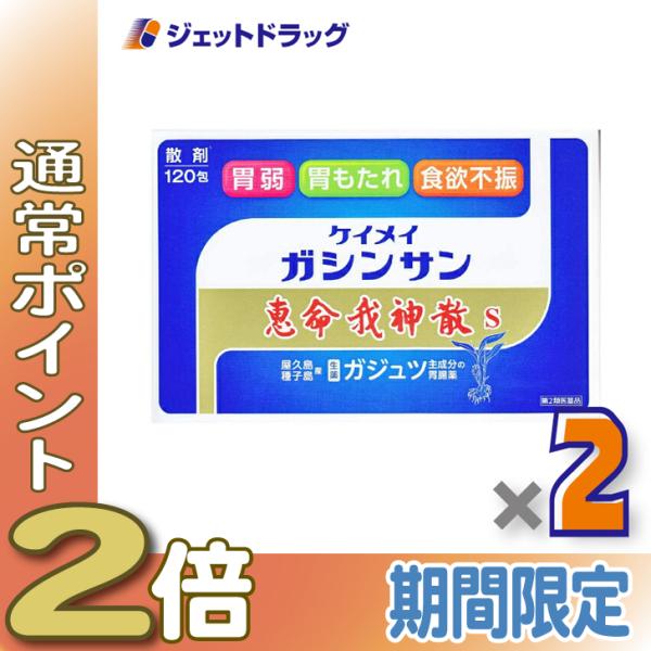 【第2類医薬品】恵命我神散S 3g 120包入 ×2個 (058029)