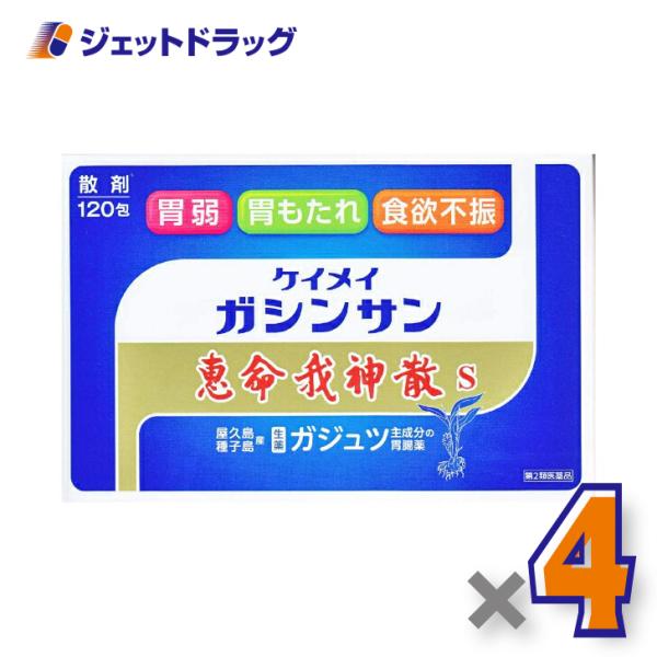 【第2類医薬品】恵命我神散S 3g 120包入 ×4個 (058029)