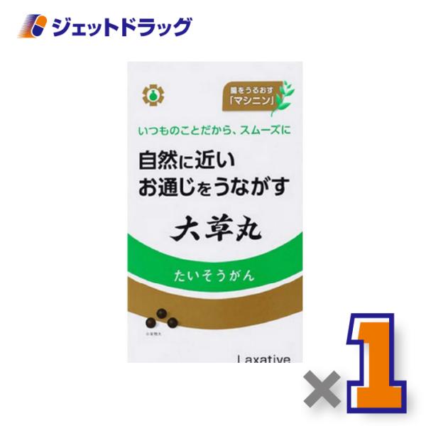 【指定第2類医薬品】大草丸 3600丸