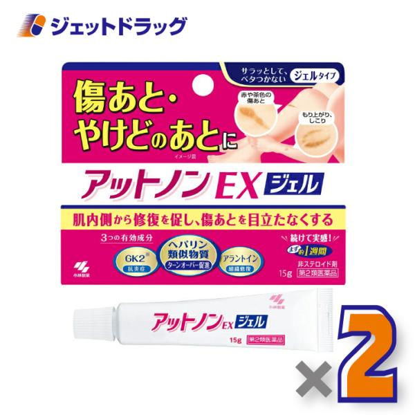 【第2類医薬品】アットノンEX ジェル 15g ×2個 (044612)