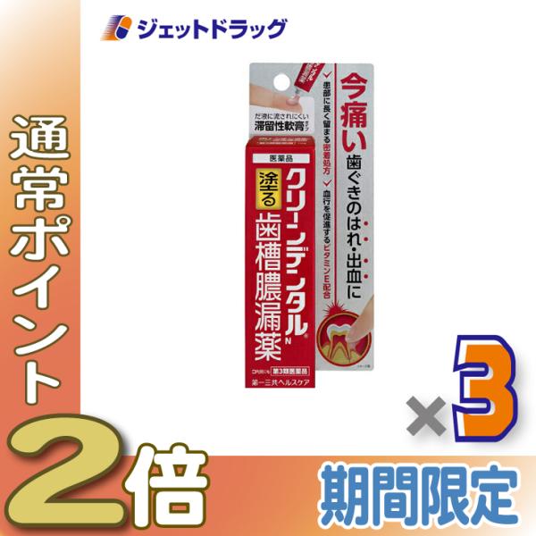 【第3類医薬品】クリーンデンタルN 塗る歯槽膿漏薬 16g ×3個 (617477)