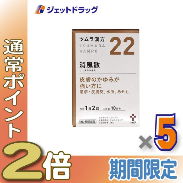 【第2類医薬品】ツムラ漢方消風散エキス顆粒 20包 ×5個〔漢方 しょうふうさん 〕