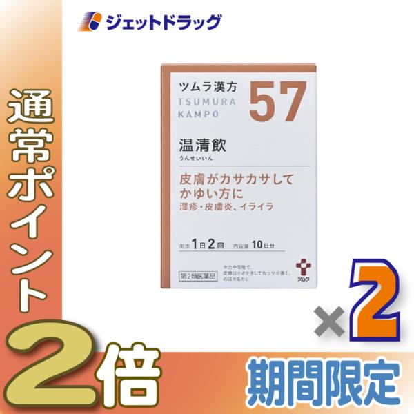 【第2類医薬品】ツムラ漢方温清飲エキス顆粒 20包 ×2個〔湿疹・皮膚炎〕