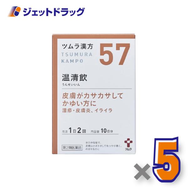 【第2類医薬品】ツムラ漢方温清飲エキス顆粒 20包 ×5個〔湿疹・皮膚炎〕