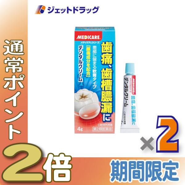 【第2類医薬品】メディケア デンタルクリームT 4g ×2個