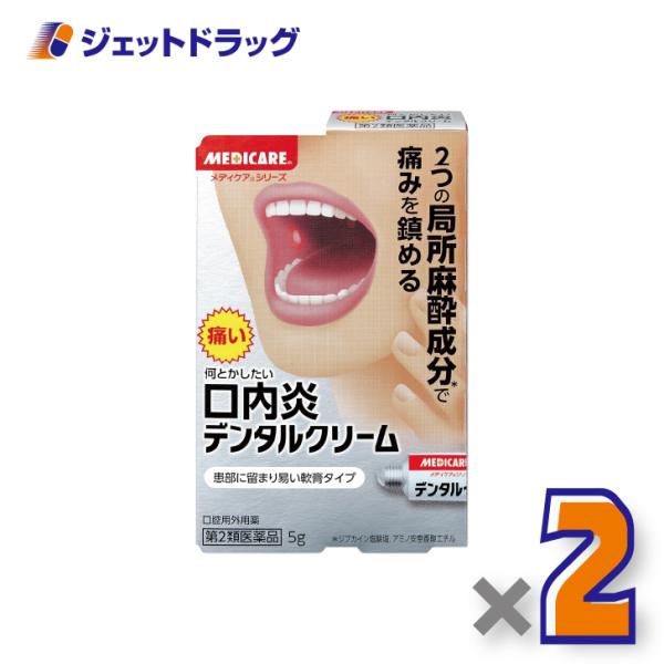 【第2類医薬品】デンタルクリーム 5g ×2個