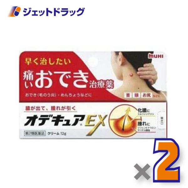 【第2類医薬品】オデキュアEX 12g ×2個 (002954)