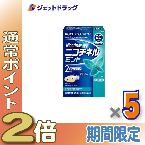【指定第2類医薬品】ニコチネル ミント 20個 ×5個 ※セルフメディケーション税制対象〔禁煙〕