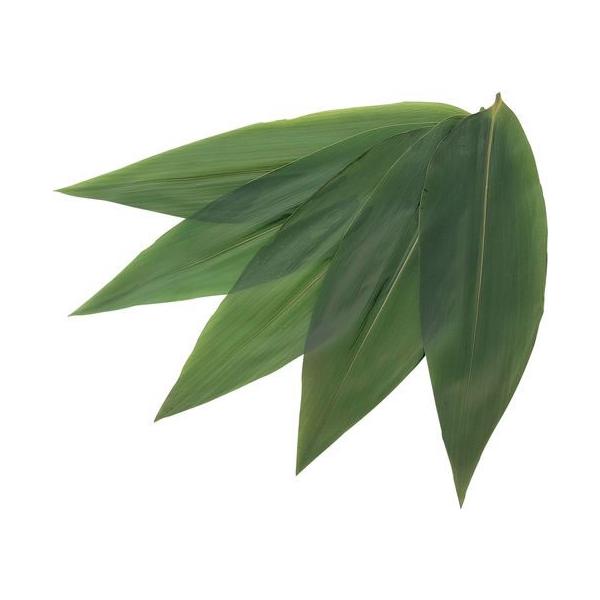 【商品説明】天然物につき、サイズが異なる場合がございます。【仕様】●外寸：約７０〜９０×約２９０ｍｍ●材質：笹葉●１００枚入り