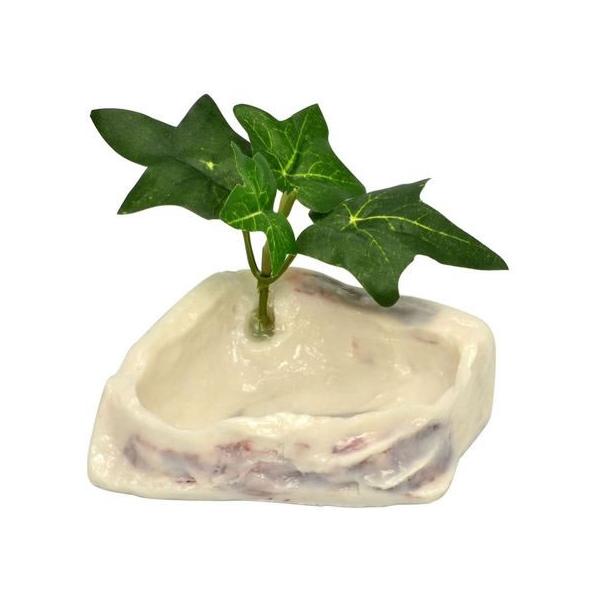 【商品説明】オカヤドカリの飼育には、水は欠かせません。飼育ケースのコーナーにフィットする形状のレジン製水入れです。エサ入れとして使用してもＯＫ。【仕様】●材質：レジン●本体サイズ：約幅８０×奥行８０×高さ６５ｍｍ　<ジェットプライス>