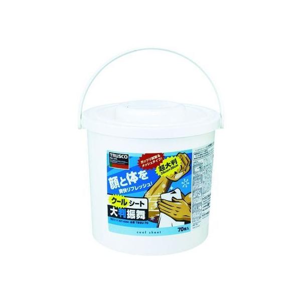 【商品説明】●メッシュ生地の大判サイズで、全身をしっかりとふけます。●清涼成分を強めに配合し、爽快感を追求しました。●作業後の体を清潔に保ちます。【仕様】●型番：TBSU-70　●入数：70枚　●シートサイズ（mm）：300×350　●タイ...