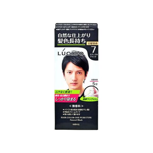 【仕様】初めてでも簡単ワンプッシュタイプ。髪をいたわる３種の毛髪保護成分（海藻エキス・アミノ　酸（Ｌ−グルタミン酸）・コラーゲン）配合。残りは次回に取って置けます。　●内容量：1剤50g・2剤50g●地毛のように自然な黒色●無香料・パラベン...