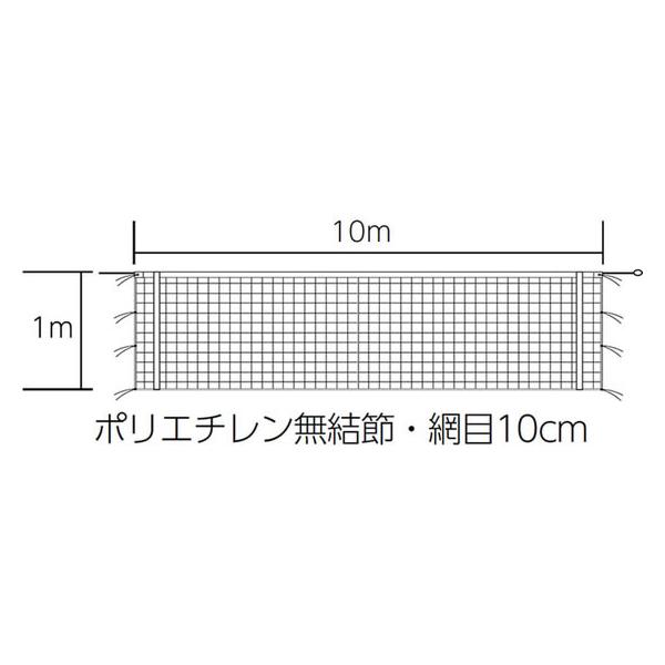 【商品説明】９人制（女子）バレーボールネット（上部のみ白帯付）。【仕様】●素材・材質：ポリエチレン無結節、白帯／ポリエステル　●仕様：検定ＡＡ級、４４０Ｔ／６０本、網目１０ｃｍ、９人制男子ではご使用いただけません。バレーボールネットを安全に...
