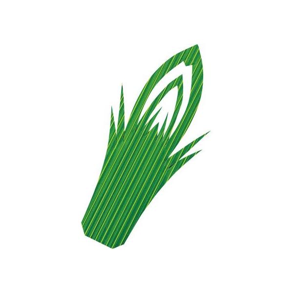 【商品説明】生バランは黄色の線が等間隔に入っています。【仕様】●外寸：１２５×６０ｍｍ●１０００枚入り