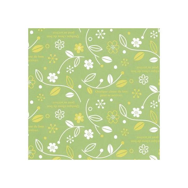 【商品説明】流れのあるやわらかな曲線のお花たちが、想いも一緒に包んでくれます。【仕様】●カラー：エスペランス　ＬＧ●サイズ：７５０×５２８ｍｍ●材質：上質紙６４ｇ●入数：５０枚　<ジェットプライス>