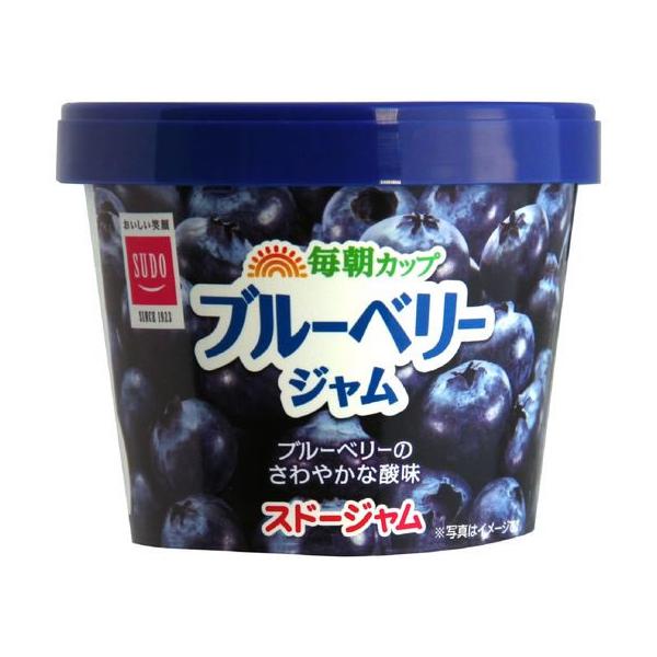 【商品説明】紙カップタイプのちょっと使いに便利なジャムです。　朝食やおやつの時間、お菓子作りなどでも活躍いたします。　安価なタイプですが、ブルーベリーの果肉が残っており食感も楽しんでいただけます。　パンやヨーグルトはもちろん、ラッシーやアイ...