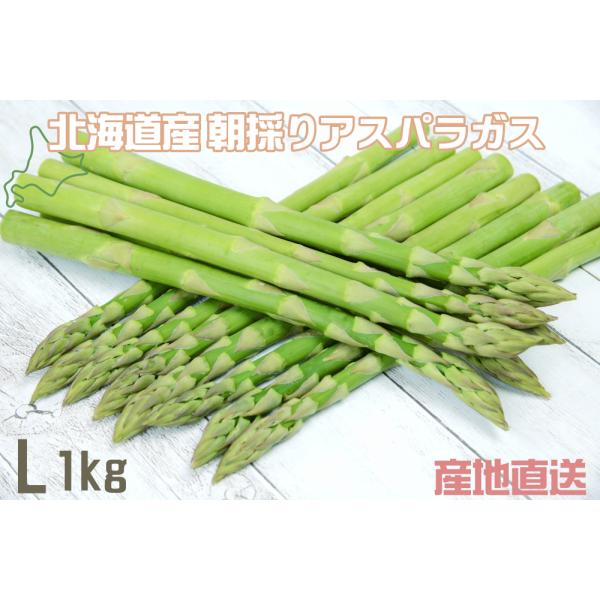 ●産地直送　グリーンアスパラガス　Ｌサイズ　1kgＬサイズ(500g×2袋) ＝ 合計１kgになります北海道の長い冬も終え、草木の新芽が出る4月。寒暖の激しい北海道ならではの、甘み、柔らかさ、歯ごたえ、新鮮なアスパラガスをご賞味下さい。アス...