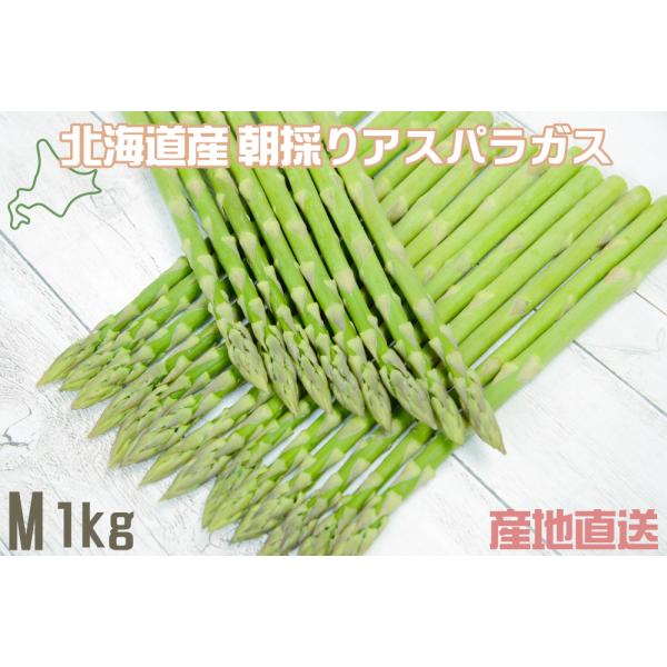 ●産地直送　グリーンアスパラガス　Ｍサイズ　1kgＭサイズ(500g×2袋) ＝ 合計１kgになります北海道の長い冬も終え、草木の新芽が出る4月。寒暖の激しい北海道ならではの、甘み、柔らかさ、歯ごたえ、新鮮なアスパラガスをご賞味下さい。アス...