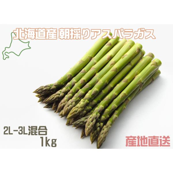 ●産地直送　グリーンアスパラガス　2L〜3L混合　1kg北海道の長い冬も終え、草木の新芽が出る4月。寒暖の激しい北海道ならではの、甘み、柔らかさ、歯ごたえ、新鮮なアスパラガスをご賞味下さい。アスパラガスが持つ本来の美味しさを守る最大のひけつ...