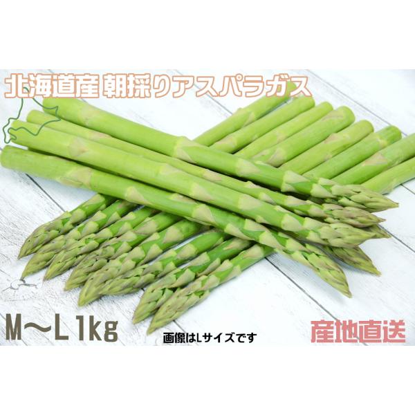 ●産地直送　グリーンアスパラガス　Ｍ〜Ｌ混合　1kg北海道の長い冬も終え、草木の新芽が出る4月。寒暖の激しい北海道ならではの、甘み、柔らかさ、歯ごたえ、新鮮なアスパラガスをご賞味下さい。アスパラガスが持つ本来の美味しさを守る最大のひけつは鮮...