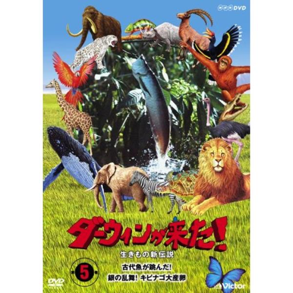 （中古品）ダーウィンが来た生き物新伝説 第5巻 DVD ご覧頂きありがとうございます。こちらの商品は中古品となっております。中古品の為若干の使用感はございますが、まだまだお使い頂ける商品となっております。また女性スタッフにより丁寧な検品と梱...