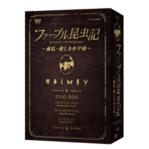 （中古品）ファーブル昆虫記 南仏・愛しき小宇宙 DVD-BOX3枚組 ご覧頂きありがとうございます。こちらの商品は中古品となっております。中古品の為若干の使用感はございますが、まだまだお使い頂ける商品となっております。また女性スタッフにより...