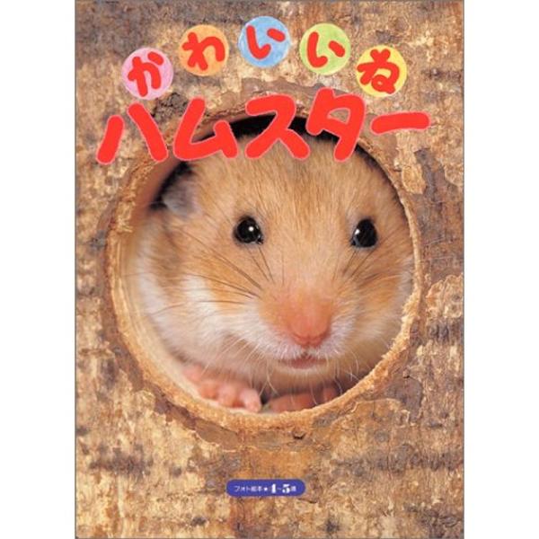 （中古品）かわいいねハムスター (フォト絵本) ご覧頂きありがとうございます。こちらの商品は中古品となっております。中古品の為若干の使用感はございますが、まだまだお使い頂ける商品となっております。また女性スタッフにより丁寧な検品と梱包をさせ...