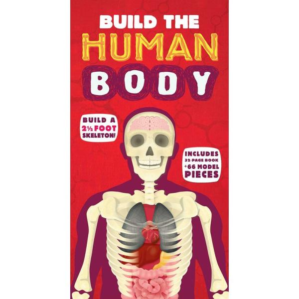 （中古品）Build the Human Body (Build It) ご覧頂きありがとうございます。こちらの商品は中古品となっております。中古品の為若干の使用感はございますが、まだまだお使い頂ける商品となっております。また女性スタッフに...