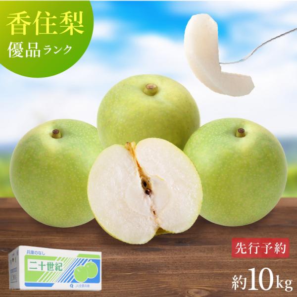 香美町特産の梨「二十世紀」！生産者が愛情たっぷりに育て、玉太りも味も自信のある梨が今年もできました。ジューシーさとシャリ感、しつこくないさっぱりとした上品な甘みが特長です。「香住梨を食べて、笑顔になって欲しい」、生産者のその思いは毎年同じで...