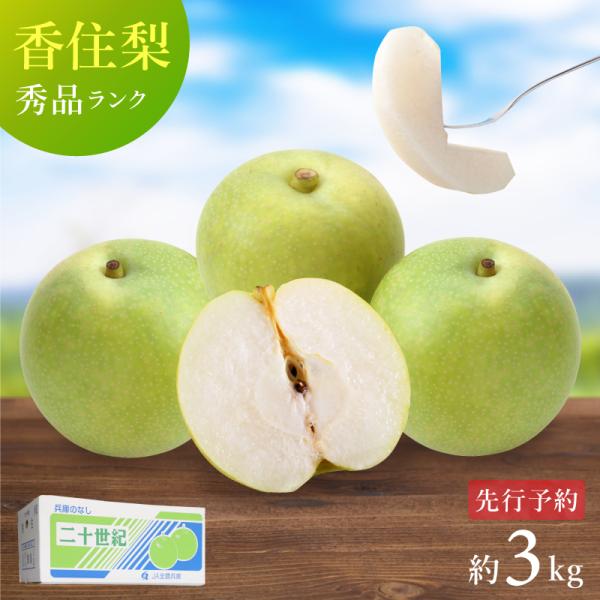 香美町特産の梨「二十世紀」！生産者が愛情たっぷりに育て、玉太りも味も自信のある梨が今年もできました。ジューシーさとシャリ感、しつこくないさっぱりとした上品な甘みが特長です。センサーで糖度を測っているので、安心してお買い求めいただけます！※ご...