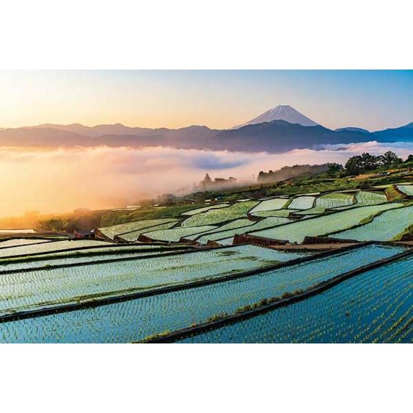 【発売日：2024年01月17日】商品名：朝焼けの富士と棚田サイズ：50×75cm品　番：APP-1000-914ピース数：1000メーカー：アップルワン補　足：【ジグソーパズル】【風景】【国内風景】【中部】【山梨】【202401】【100...