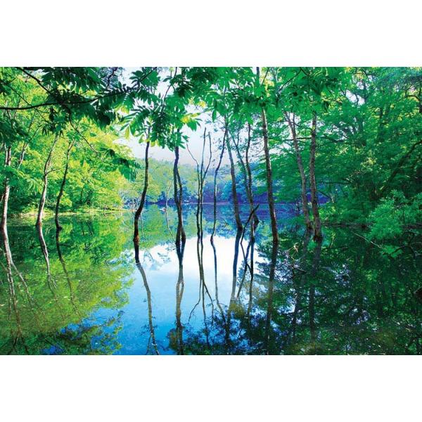 【発売日：2016年07月07日】商品名：白神山地-青森サイズ：26×38cm品　番：EPO-71-339ピース数：300メーカー：エポック社補　足：【ジグソーパズル】【風景】【国内風景】【東北】【青森】【絶景】【鏡面絶景】【オリジナルパズ...