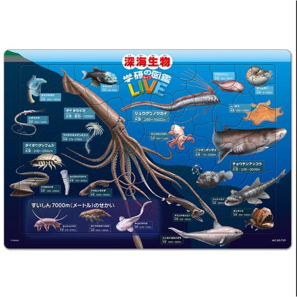 【発売日：2022年03月25日】商品名：深海生物図鑑（学研の図鑑LIVE）サイズ：26×37.5cm品　番：TEN-MC80-759ピース数：80メーカー：テンヨー補　足：【子供用パズル】【板パズル】【対象年齢5才以上】【チャイルドパズル...