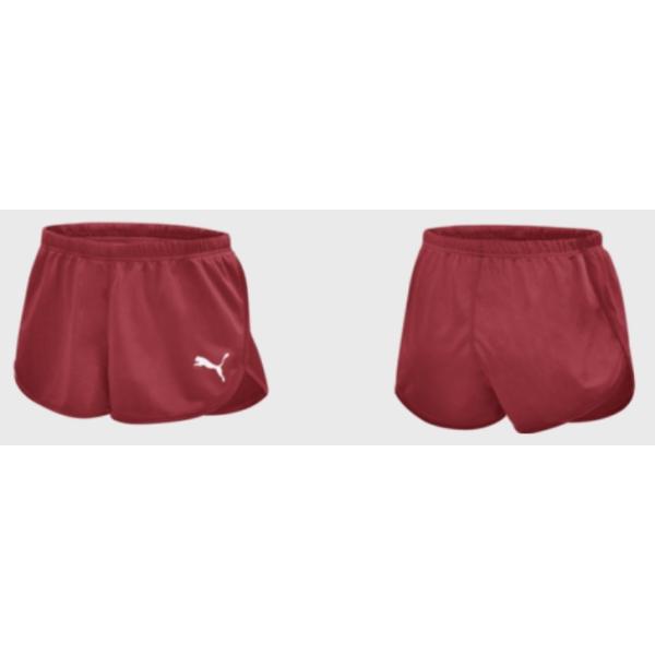 メーカー：puma　プーマカテゴリ：陸上・ランニング種別：ウエアシリーズ：トライブスチームオーダー商品名：ショーツ（ランニングパンツ）メンズ＊トライブスオーダー：生地にインクを浸透させる昇華プリントという技法を採用しています。■初回1カラー...