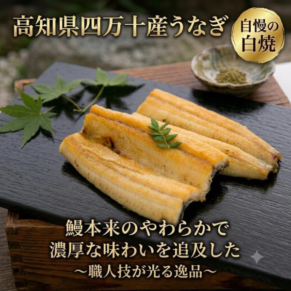 日本最後の清流四万十川その河口でとれたシラスウナギに限定し、四万十川流域の清澄な地下水で四万十青のりや納豆菌をまぶしたおから等を混ぜたこだわりのエサを与え、より天然に近い環境で大切に育てた純１００％高知県四万十産うなぎですそのうなぎをしっか...