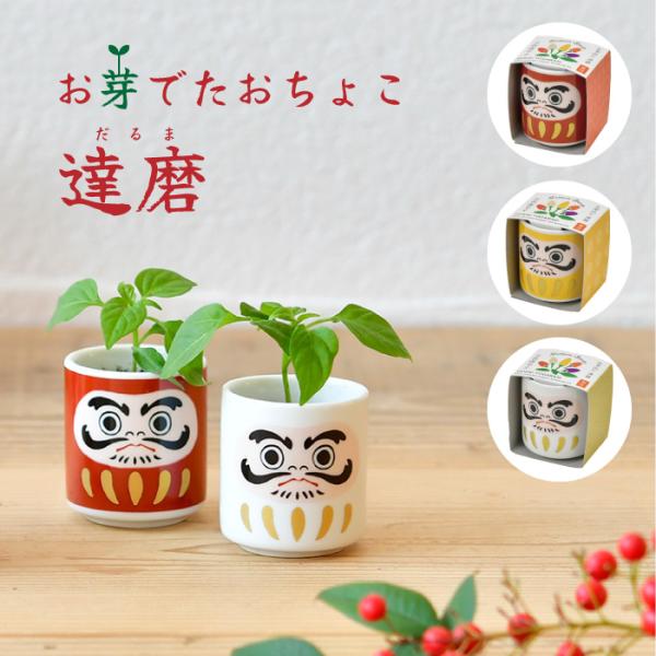 ※レビュー投稿で次回使えるクーポンプレゼント※かわいい達磨おちょこの栽培キット◇お芽でたおちょこ 達磨  商品詳細◇サイズ・高さ約48mm × φ43mmセット内容・おちょこ/ 培養土 / 種 / 説明書種類・唐辛子（赤、白、黄）製造・日本...